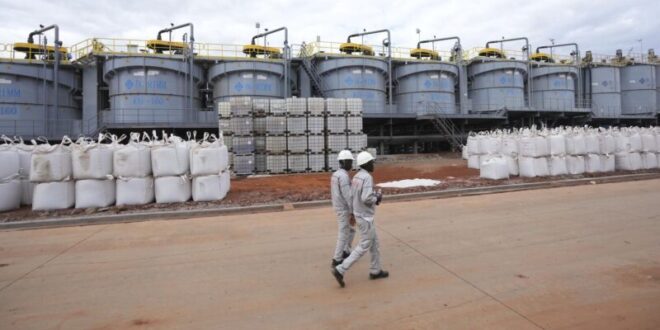 Zimbabwe to Ban Lithium Concentrate Exports by 2027 to Boost Local ...