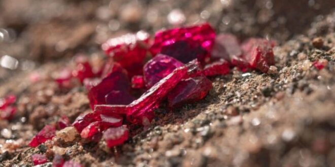 Two Police Officers Killed in Attack Near Gemfields’ Montepuez Ruby ...
