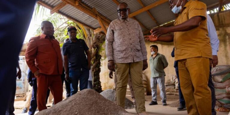 DRC Mines Minister Concludes Eastern Tour with Focus on Reforming ...